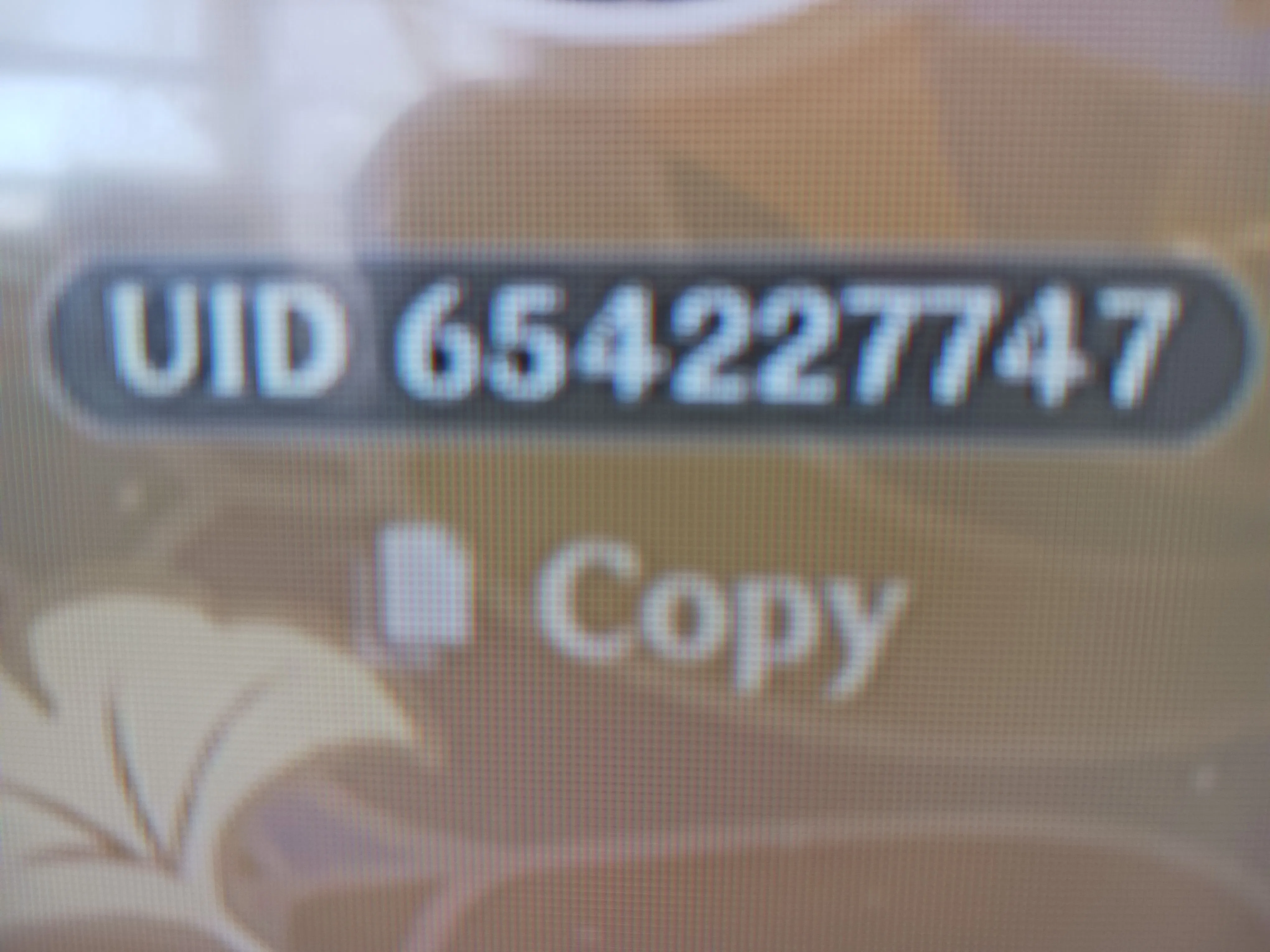 My UID Genshin Impact | HoYoLAB