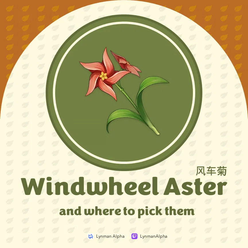 Windwheel Aster | Material Collection Guide [v3.5] Genshin Impact | HoYoLAB