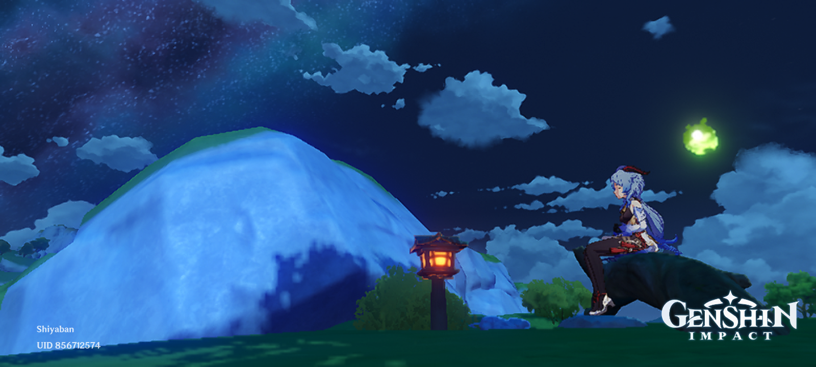 The Beautiful Night Sky Genshin Impact | HoYoLAB
