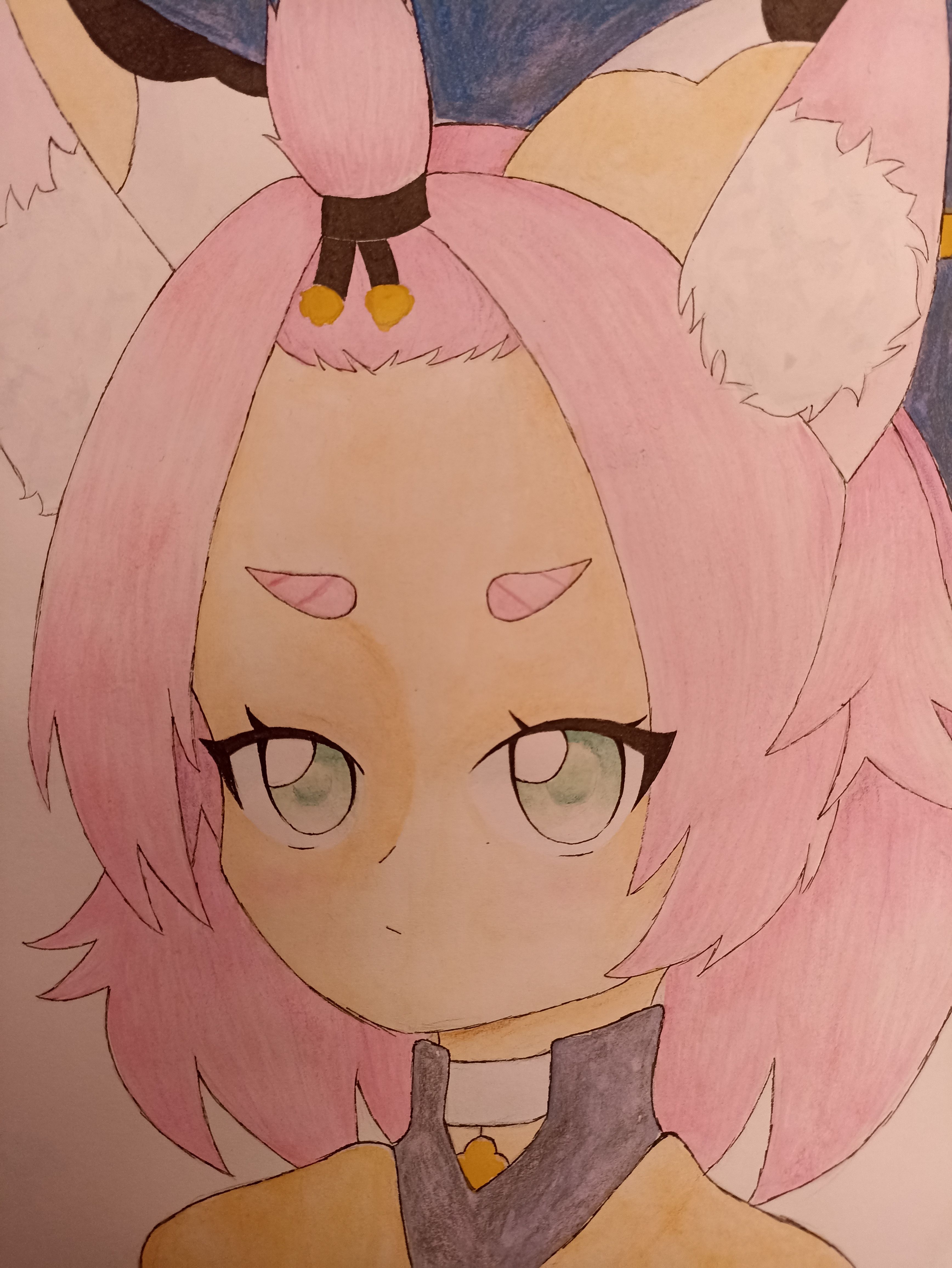 Diona Genshin Impact | HoYoLAB