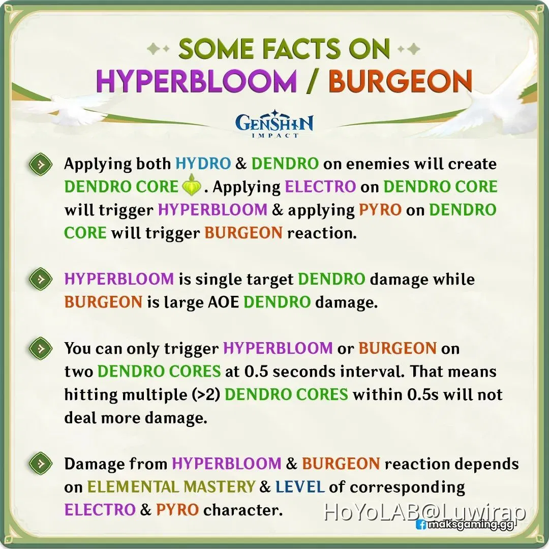 FACTS ABOUT HYPERBLOOM/BURGEON Genshin Impact | HoYoLAB