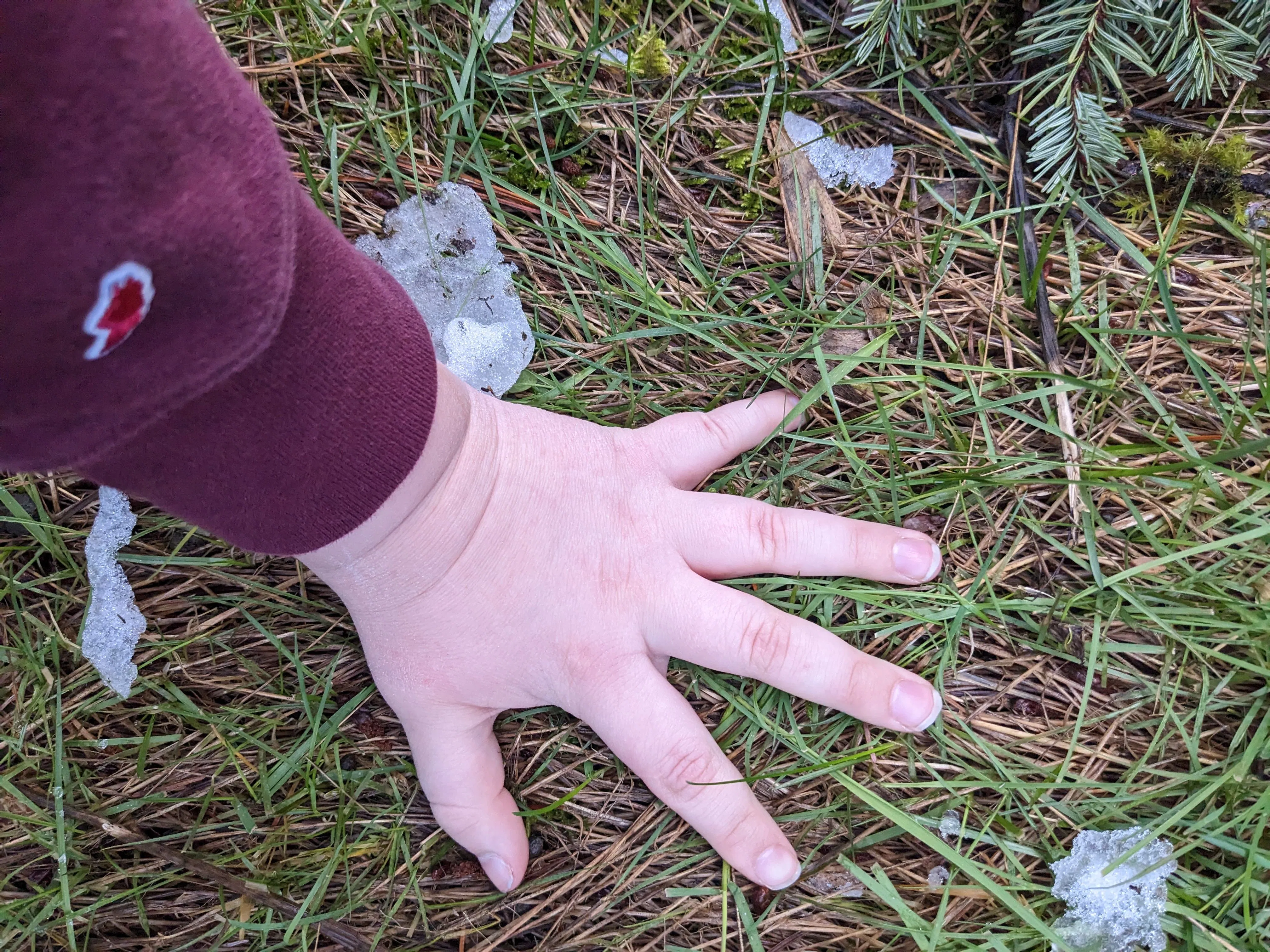 touched this weird green stuff today | HoYoLAB