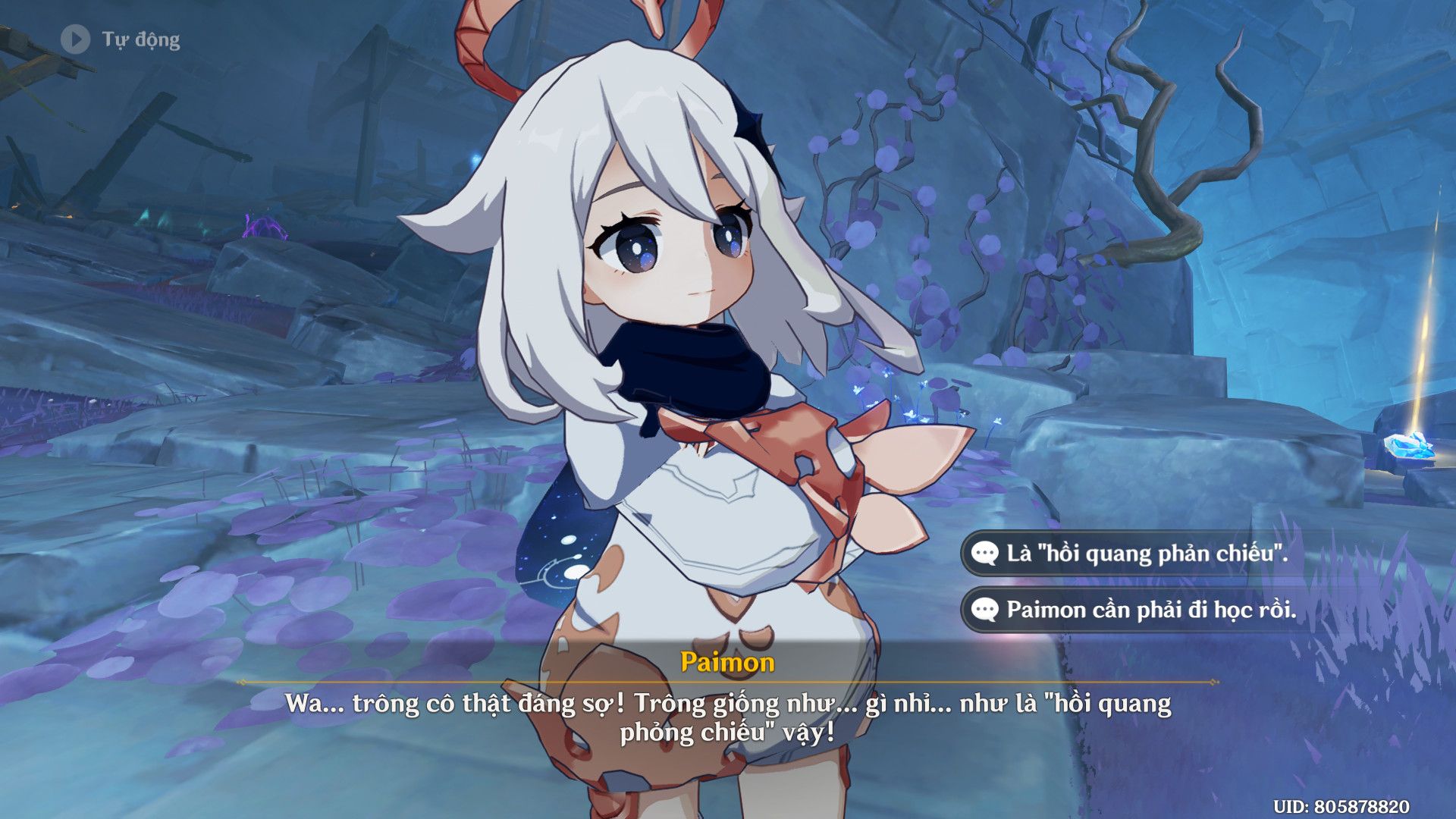 Funny PaiMon Genshin Impact | HoYoLAB