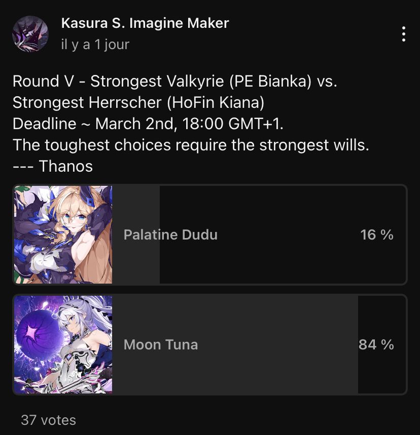 Round 5 - Palatine Dudu vs. HoFin Kiana [VOTING CLOSED] Honkai Impact ...