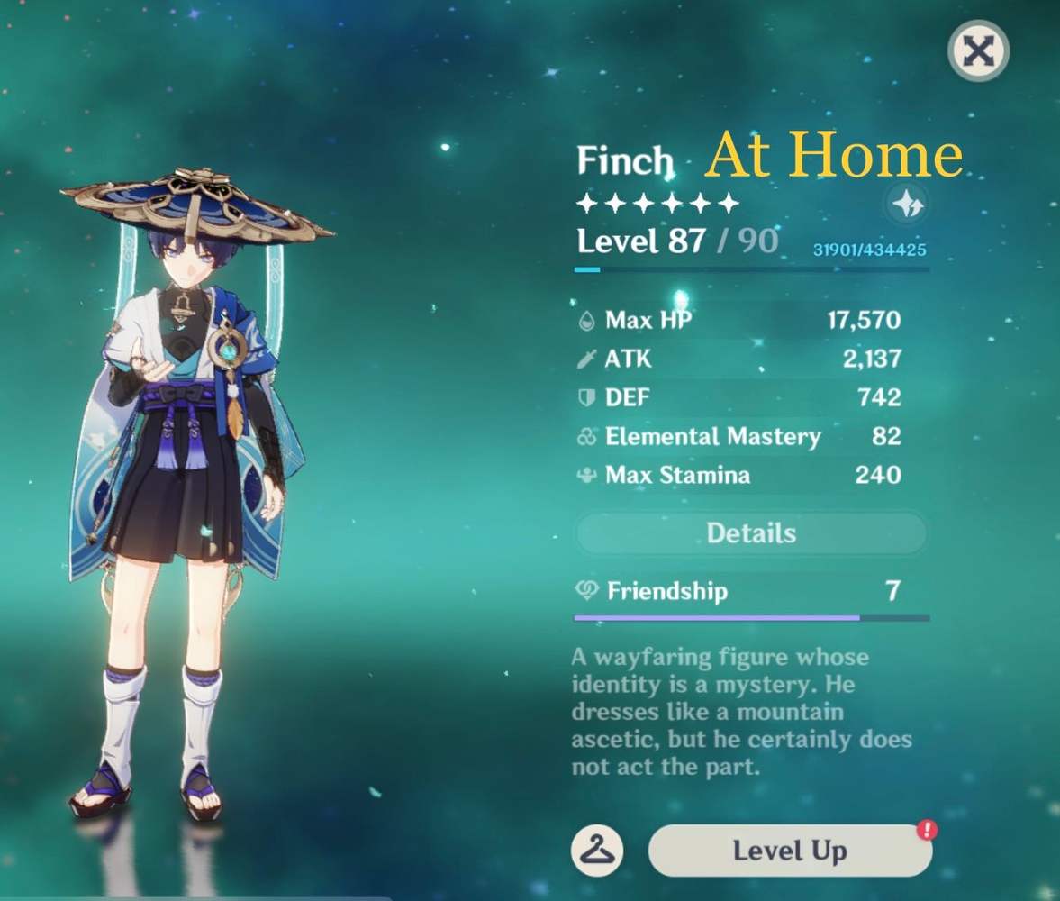Finch at Home Genshin Impact | HoYoLAB