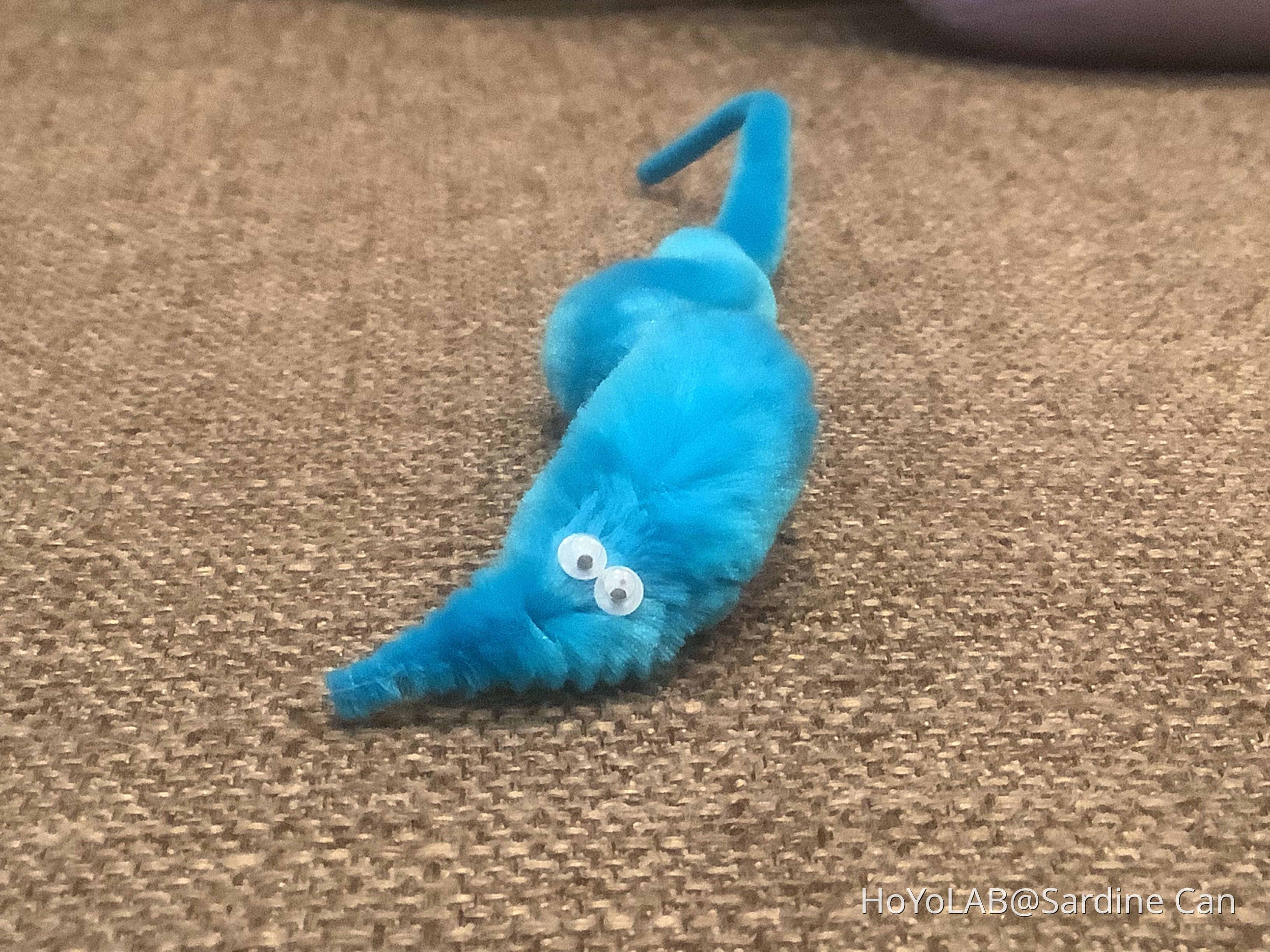 Blue worm | HoYoLAB