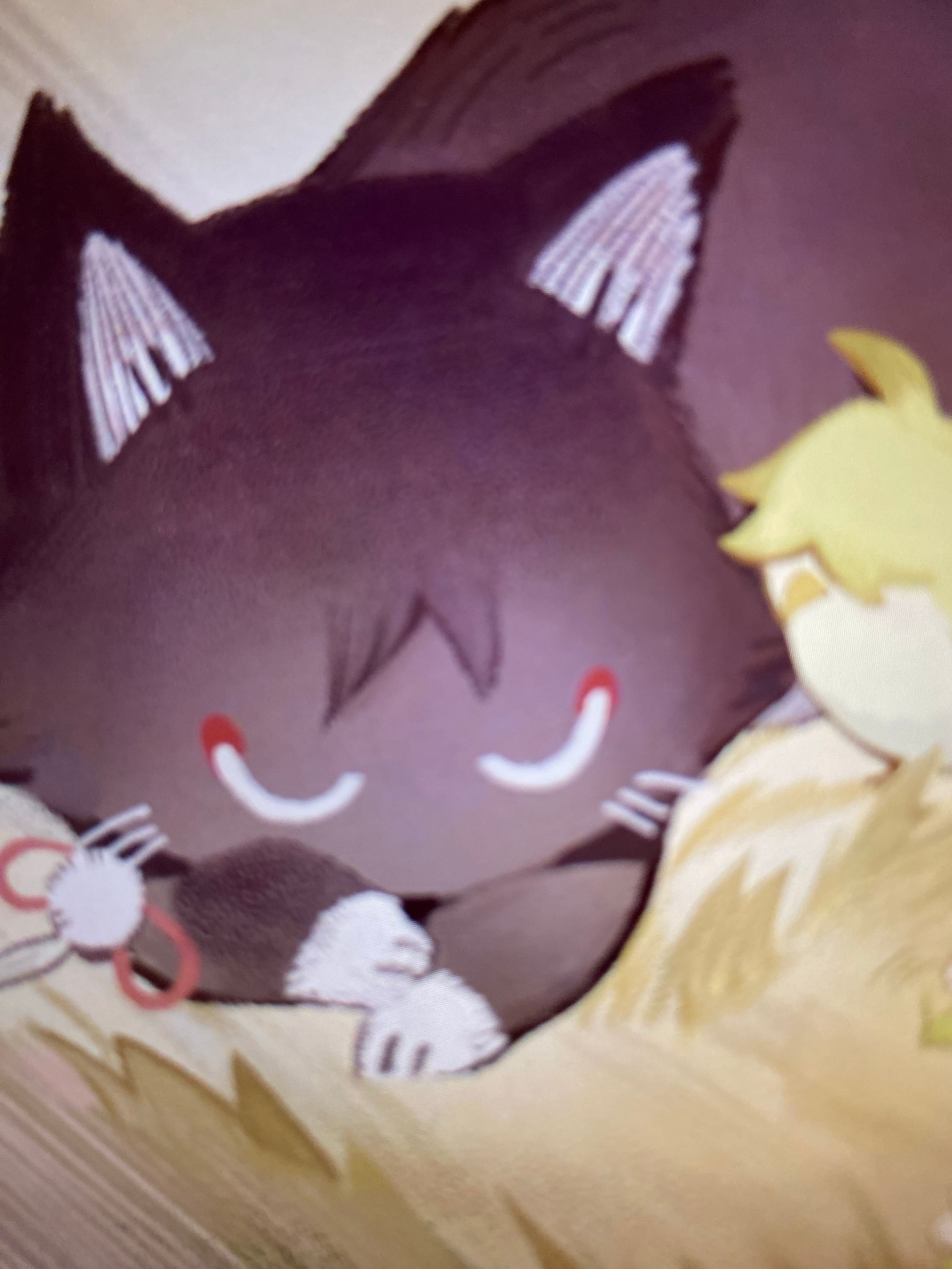 Scarameow💪 Genshin Impact | HoYoLAB