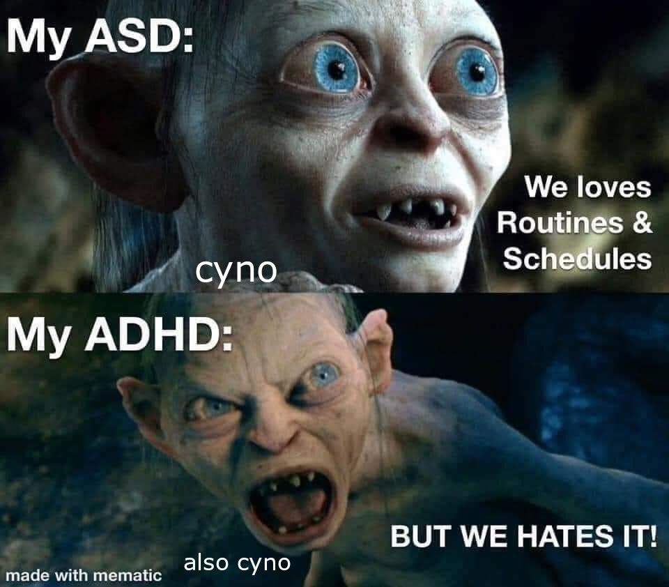 AuDHD Cyno canon Genshin Impact | HoYoLAB