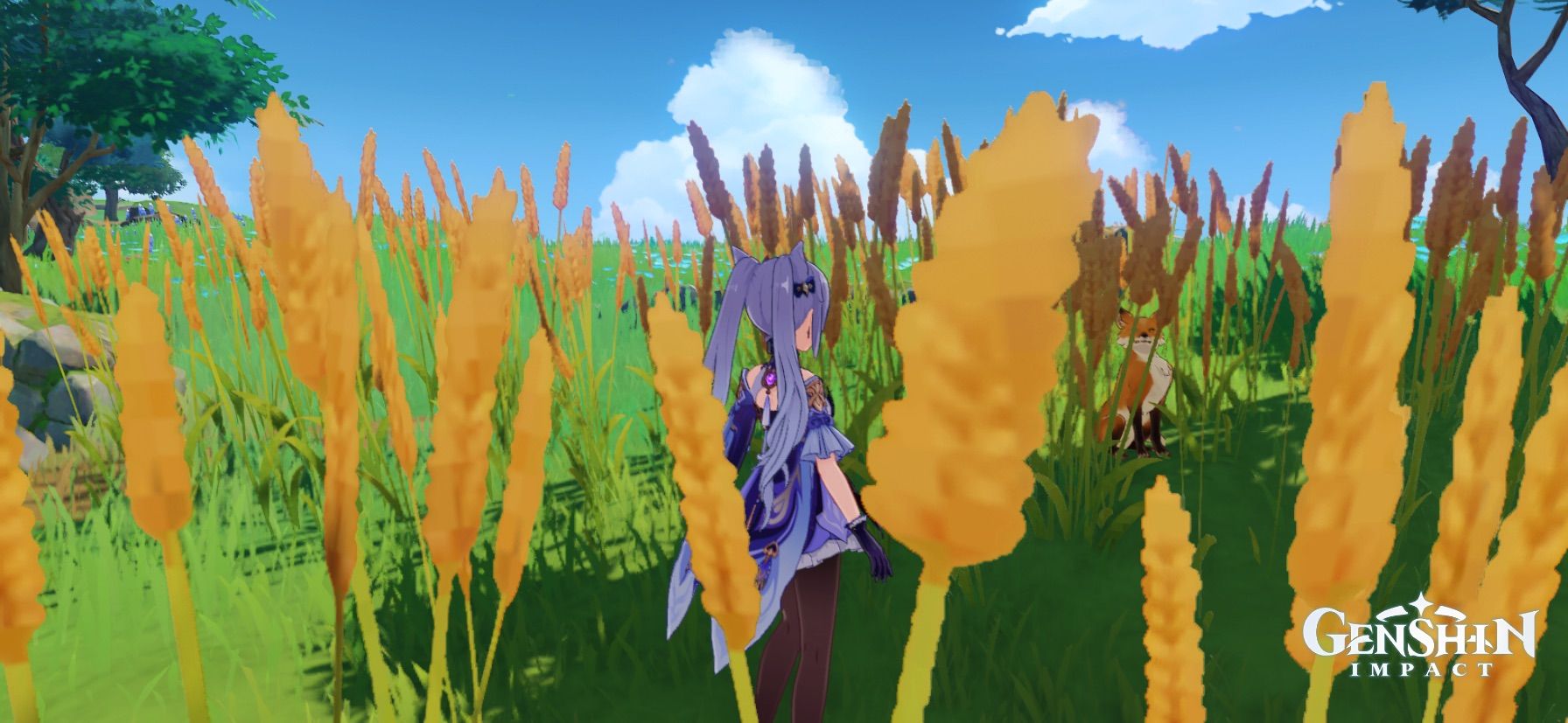 Try to find the fox Genshin Impact | HoYoLAB