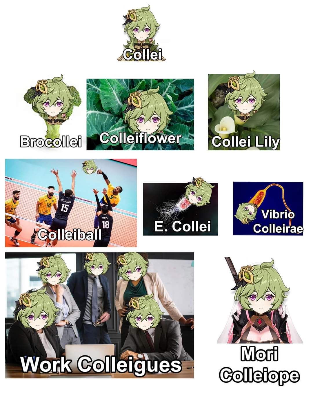 Collie xD Genshin Impact | HoYoLAB