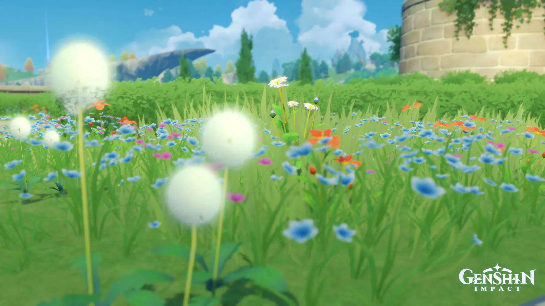 Mondstadt flowers Genshin Impact | HoYoLAB