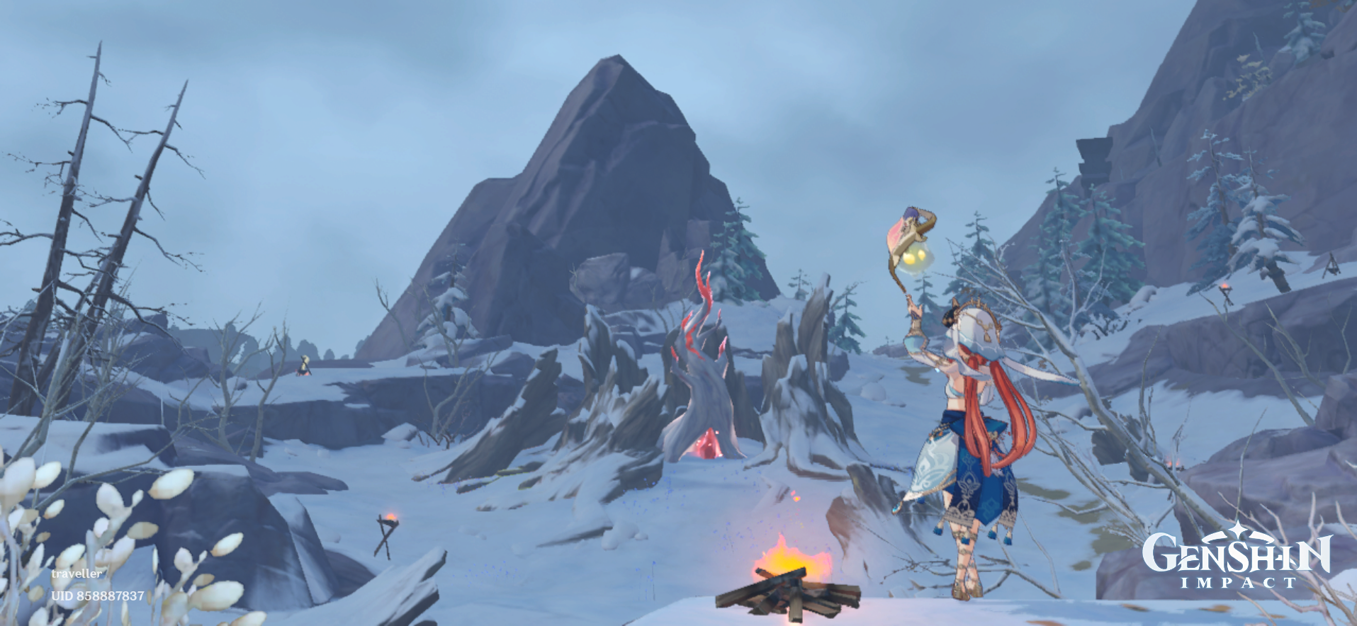 windbloom photos (part 3) Genshin Impact | HoYoLAB