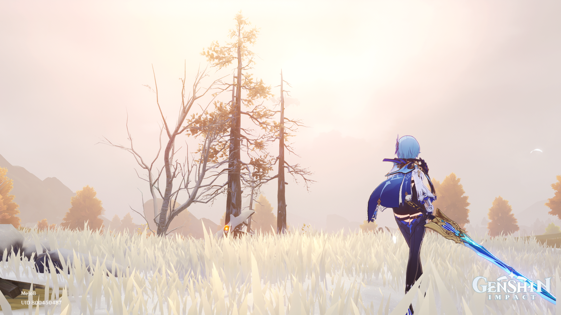 Windblume🍃 Genshin Impact | HoYoLAB