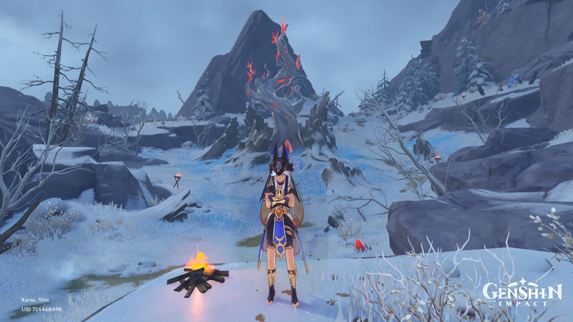 brr cold Genshin Impact | HoYoLAB