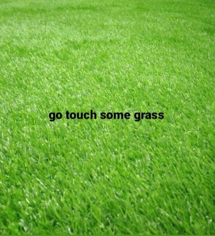 Seriously, when did you last touch grass?? | HoYoLAB