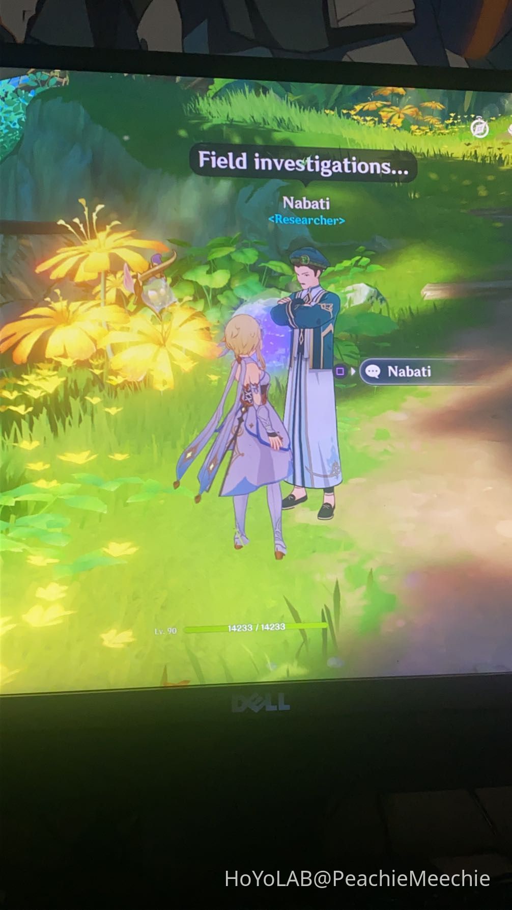 NPC Genshin Impact | HoYoLAB