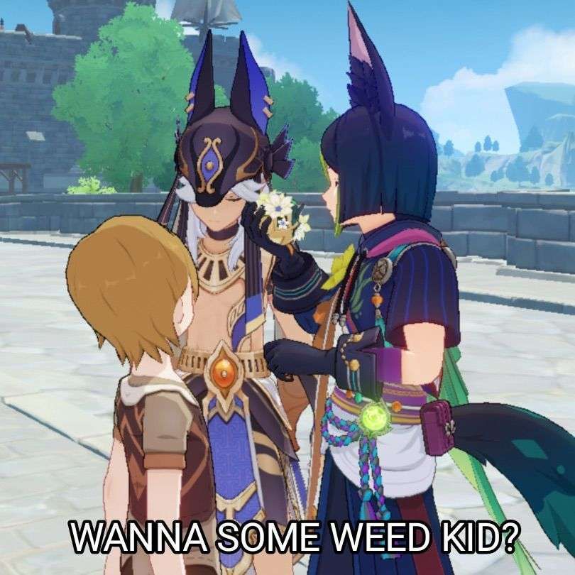 grass? Genshin Impact | HoYoLAB