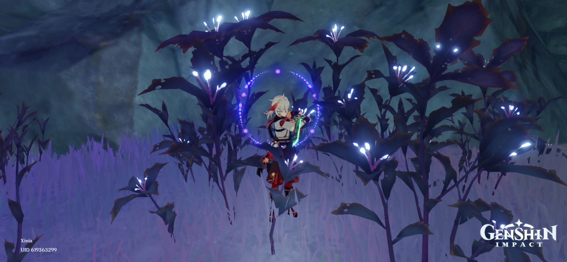 Kazuha and Flowers 6 Genshin Impact | HoYoLAB