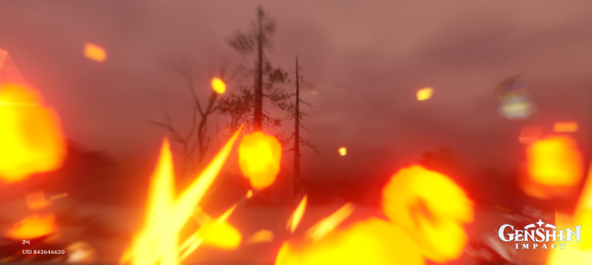 กิจกรรมถ่ายภาพ Genshin Impact | HoYoLAB