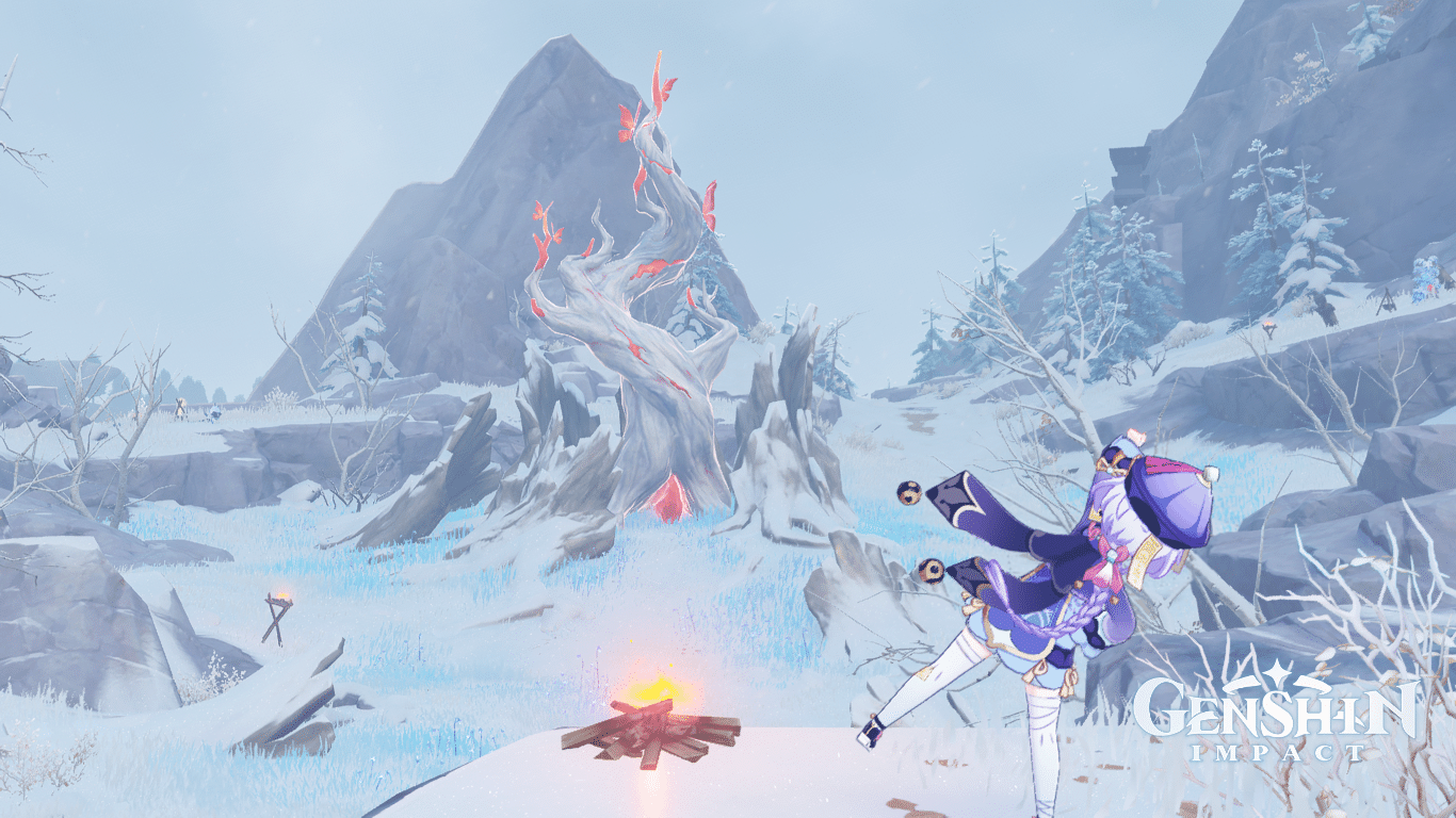 Some random Photos that I took from First Day of the Windblume Event ...