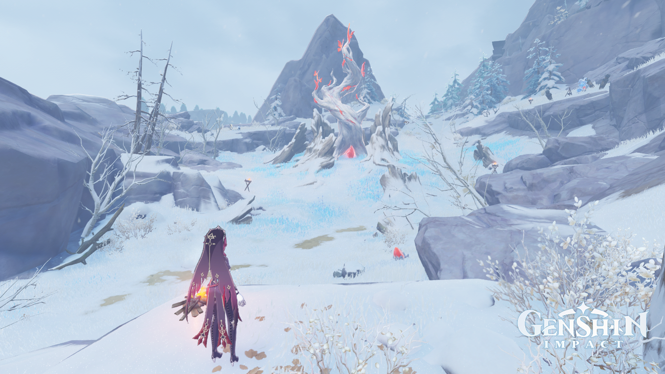 Some random Photos that I took from First Day of the Windblume Event ...