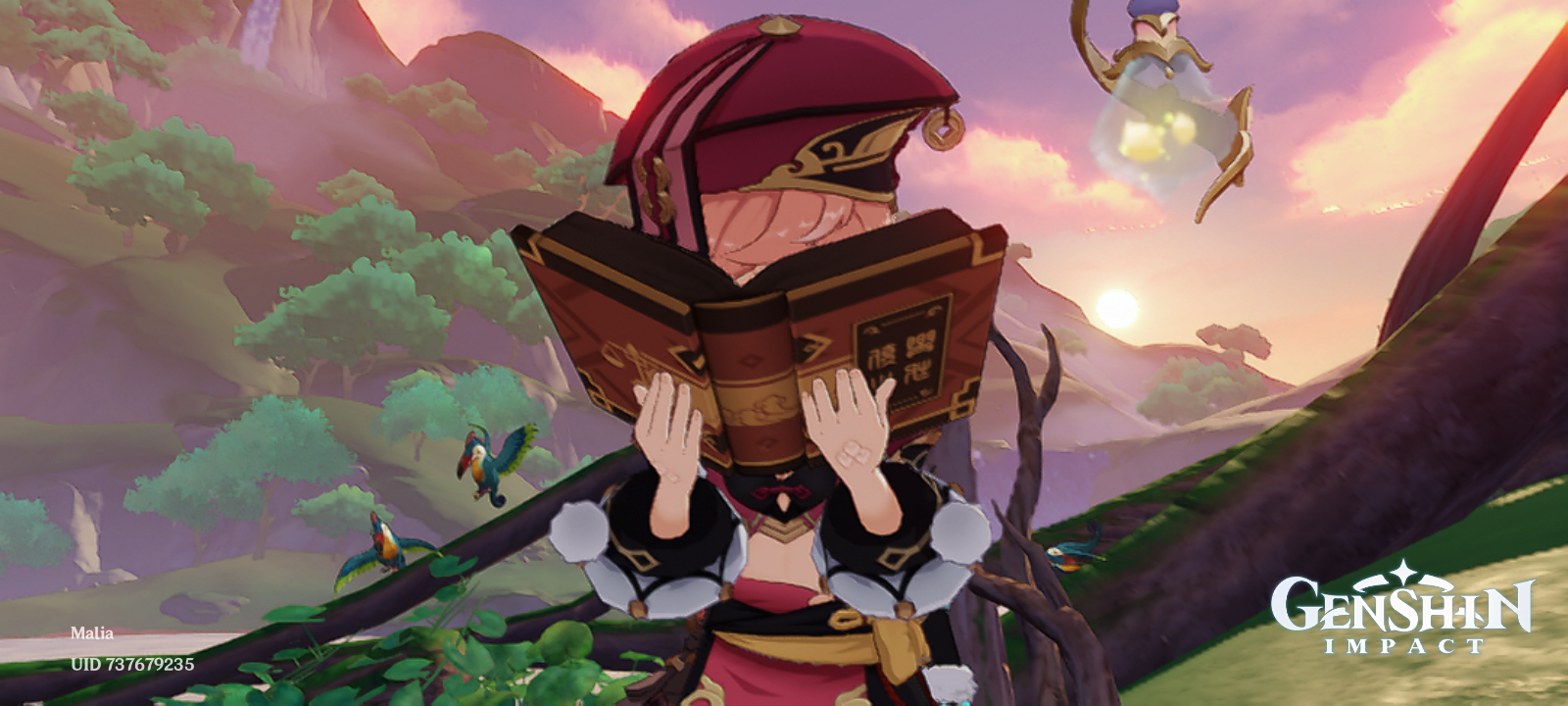 burn Genshin Impact | HoYoLAB