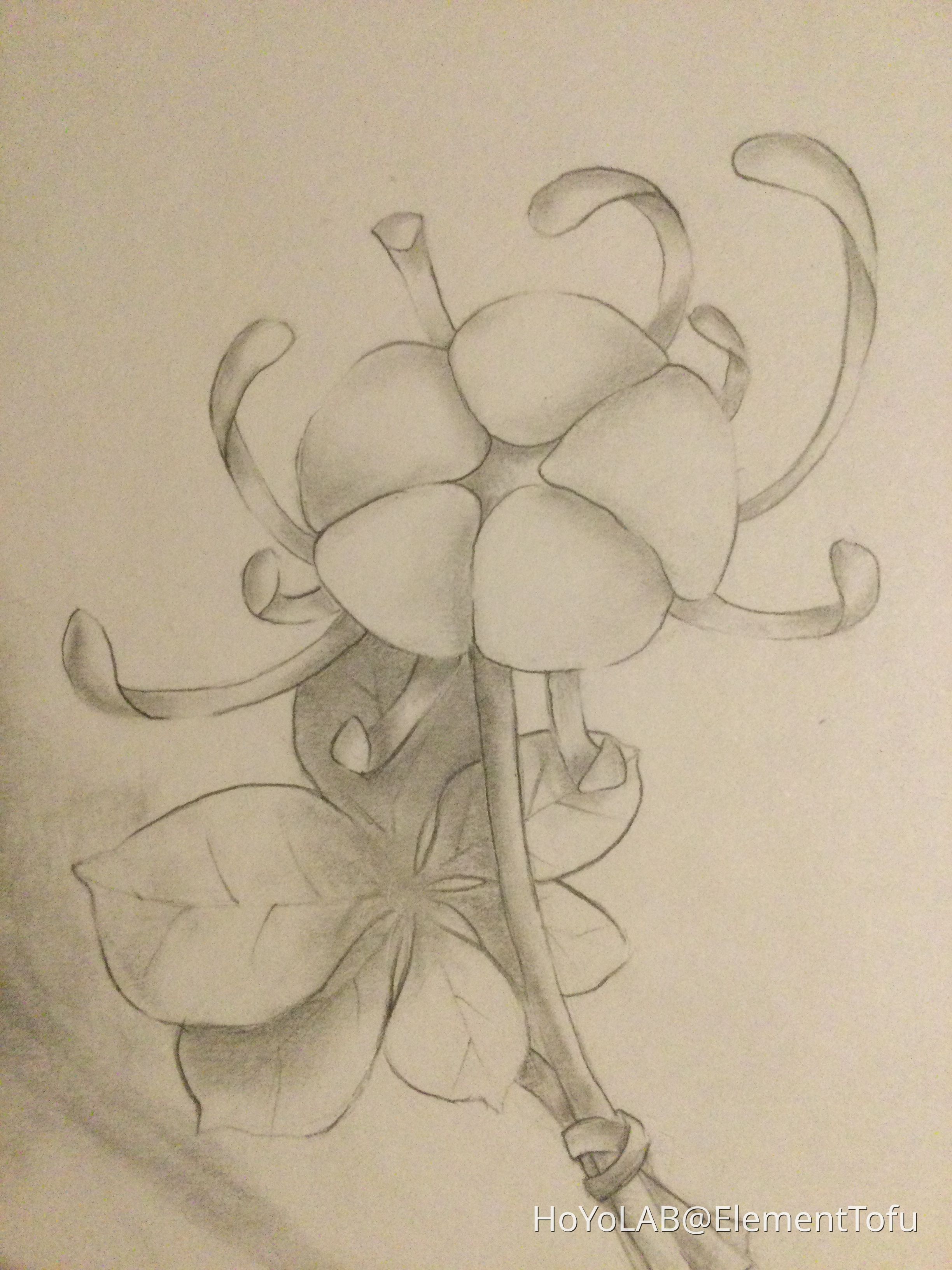 A silk flower Genshin Impact | HoYoLAB