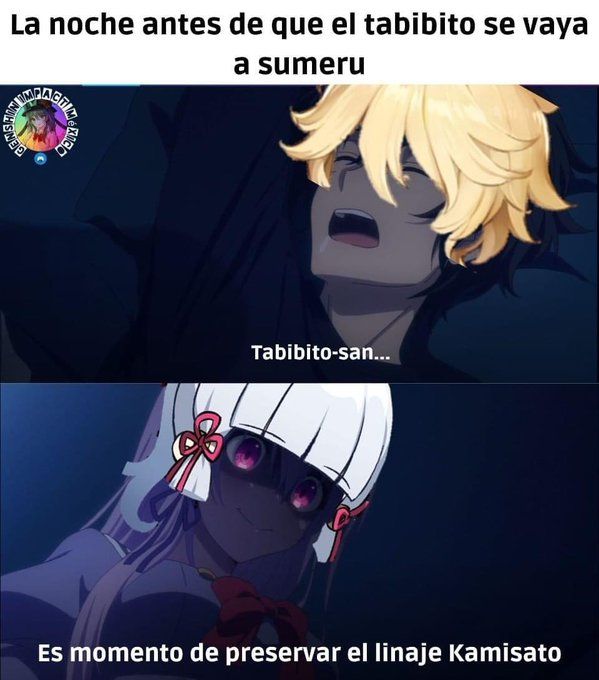 Meme de Ayaka Genshin Impact | HoYoLAB