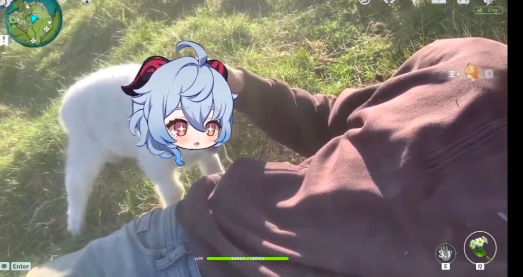 COCO GOAT Genshin Impact | HoYoLAB