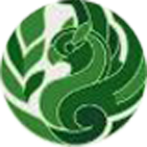 Structure and Members of Sumeru Akademiya Genshin Impact | HoYoLAB