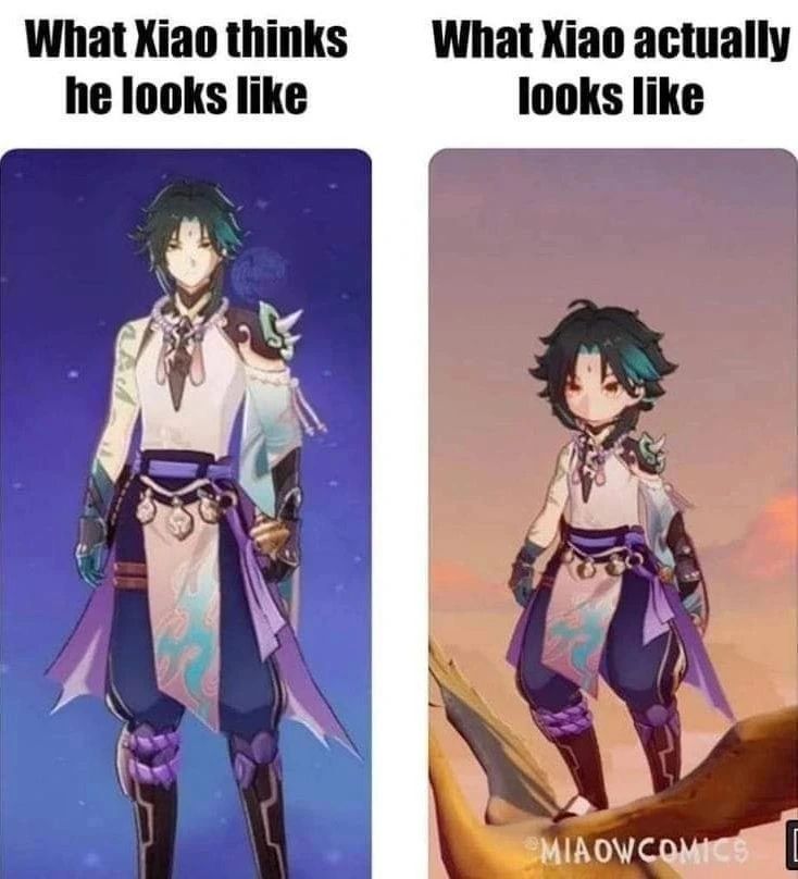 Musty Memes pt 21 Genshin Impact | HoYoLAB