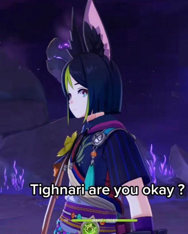Tighnari giving bombastic side eye 👀 Genshin Impact | HoYoLAB
