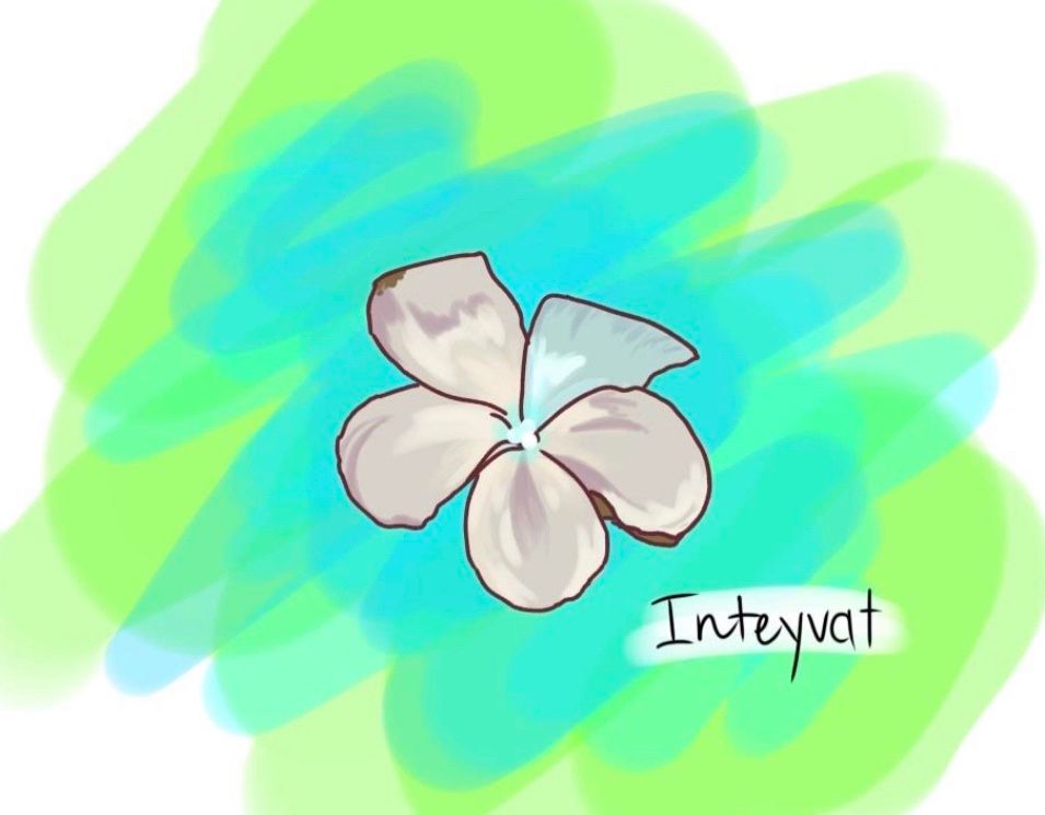 Inteyvat Genshin Impact | HoYoLAB