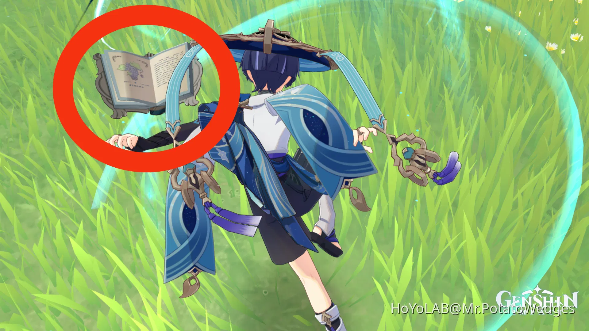 The Widsith 🍇? Genshin Impact | HoYoLAB