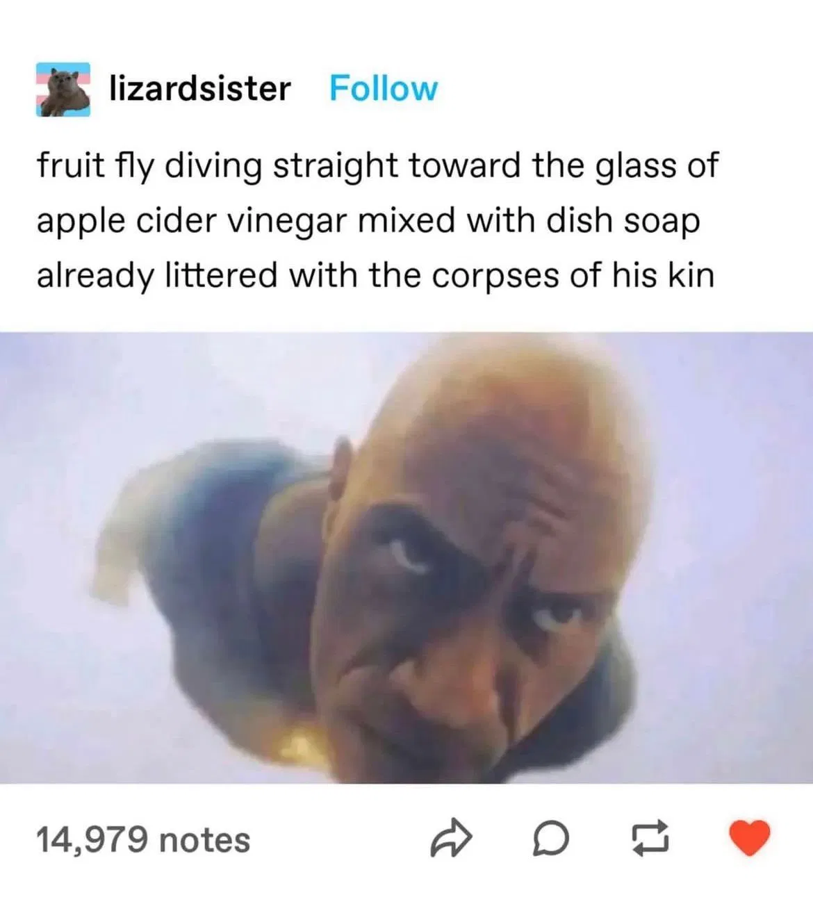 day 31 saving for shenhe + meme dump Genshin Impact | HoYoLAB