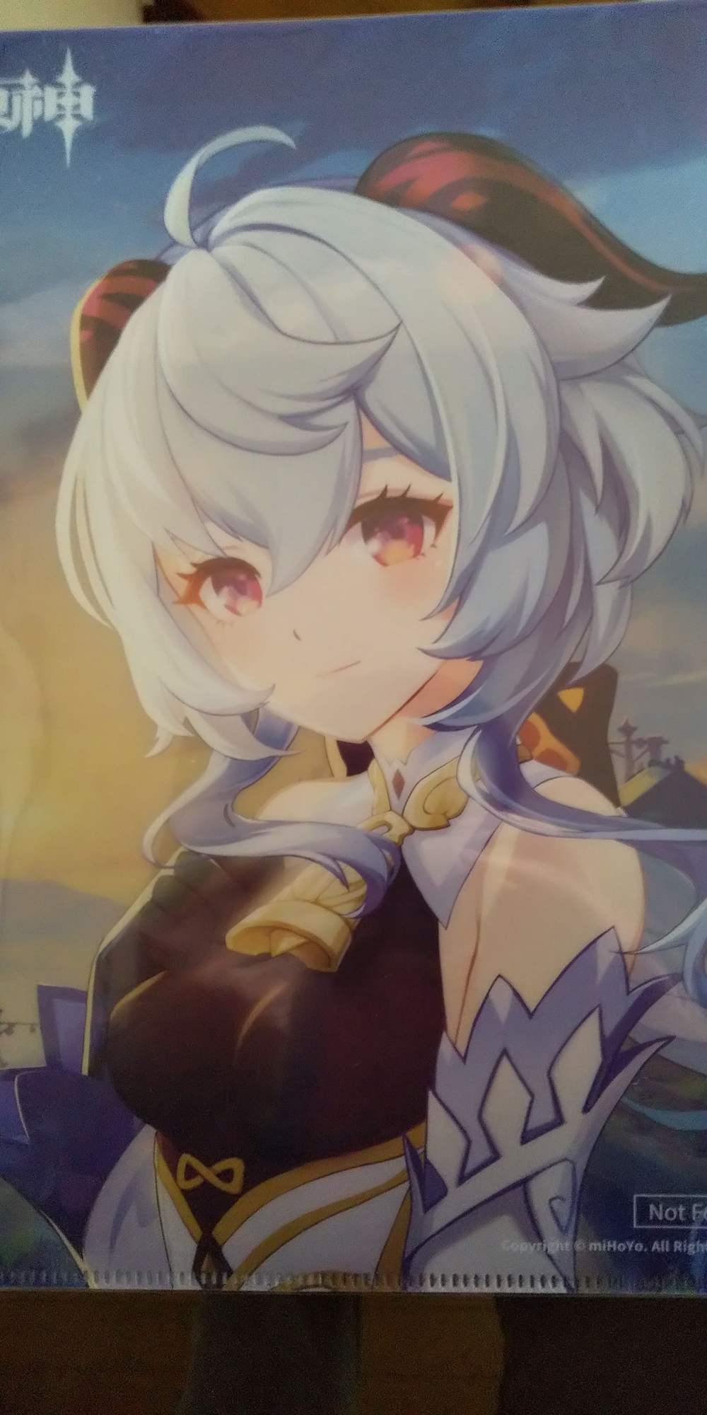 甘雨姉様届きました。 Genshin Impact | HoYoLAB