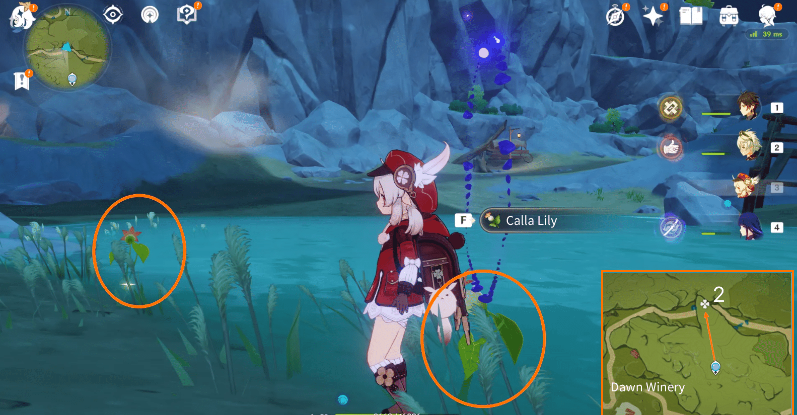 "Calla Lily" ×54 Fast Collection Guide Genshin Impact | HoYoLAB