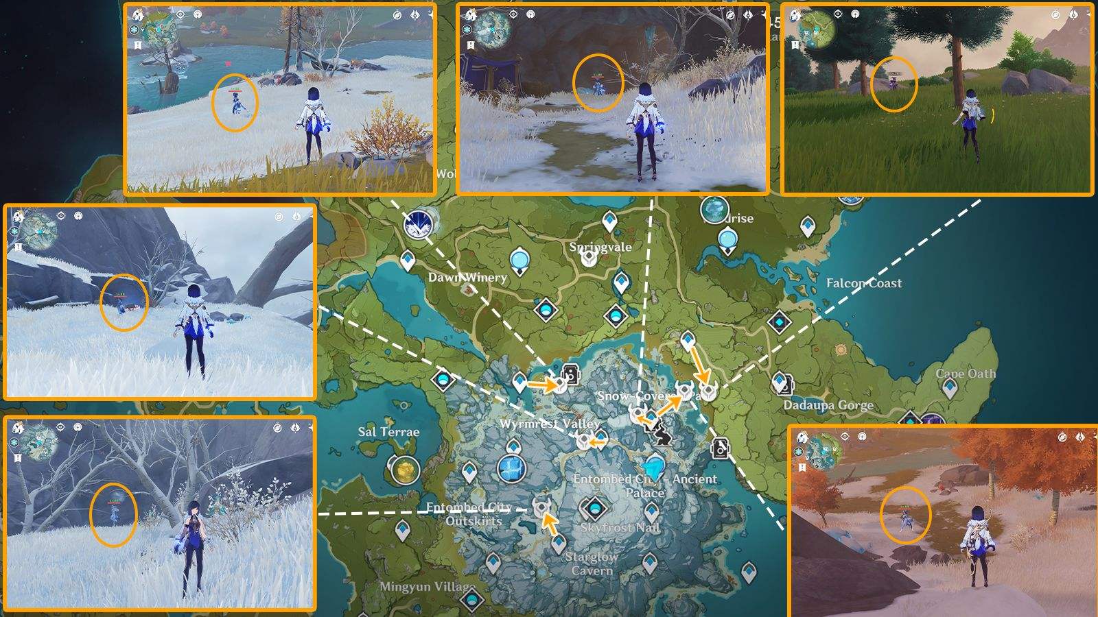 Cicin Mages*35 – Farming Route Guide Genshin Impact | HoYoLAB