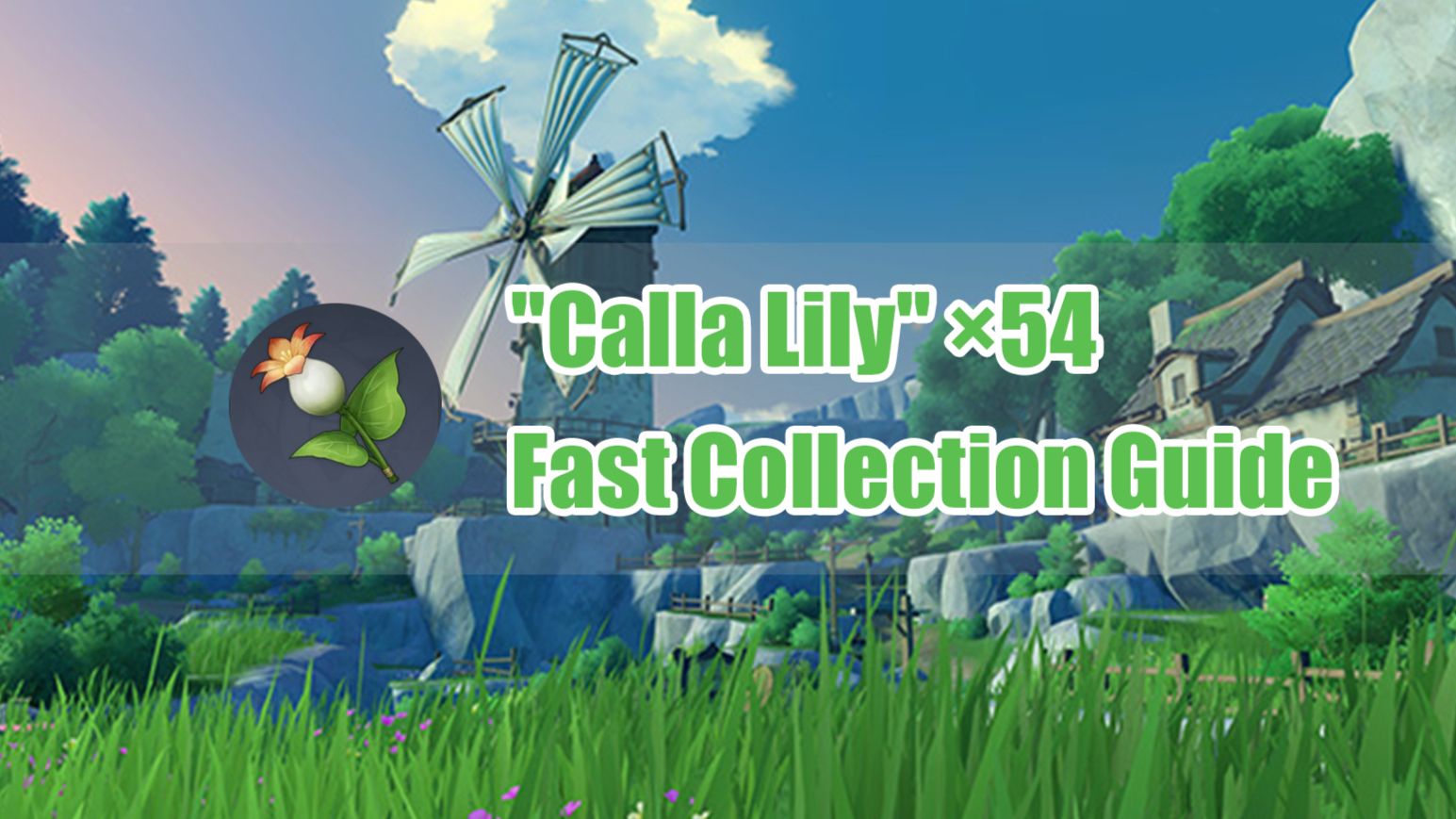 "Calla Lily" ×54 Fast Collection Guide Genshin Impact | HoYoLAB