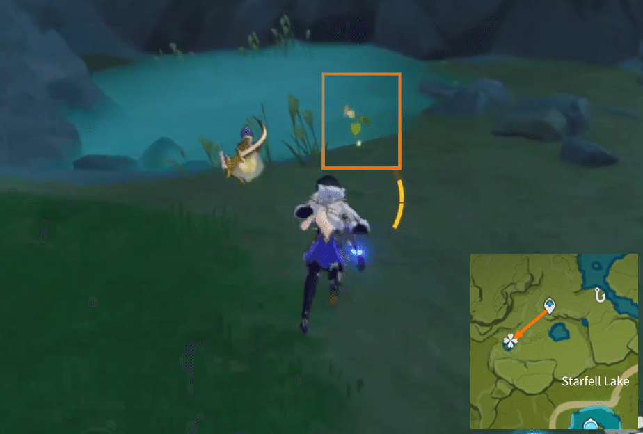 "Calla Lily" ×54 Fast Collection Guide Genshin Impact | HoYoLAB