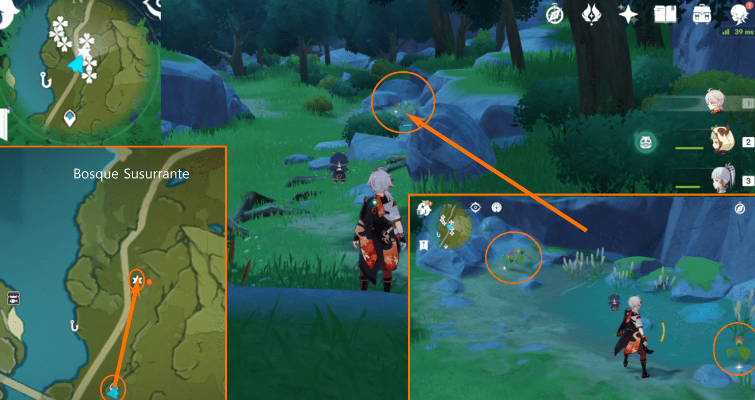 Guía de cómo recolectar con rapidez [Lirio cala]×54 Genshin Impact ...