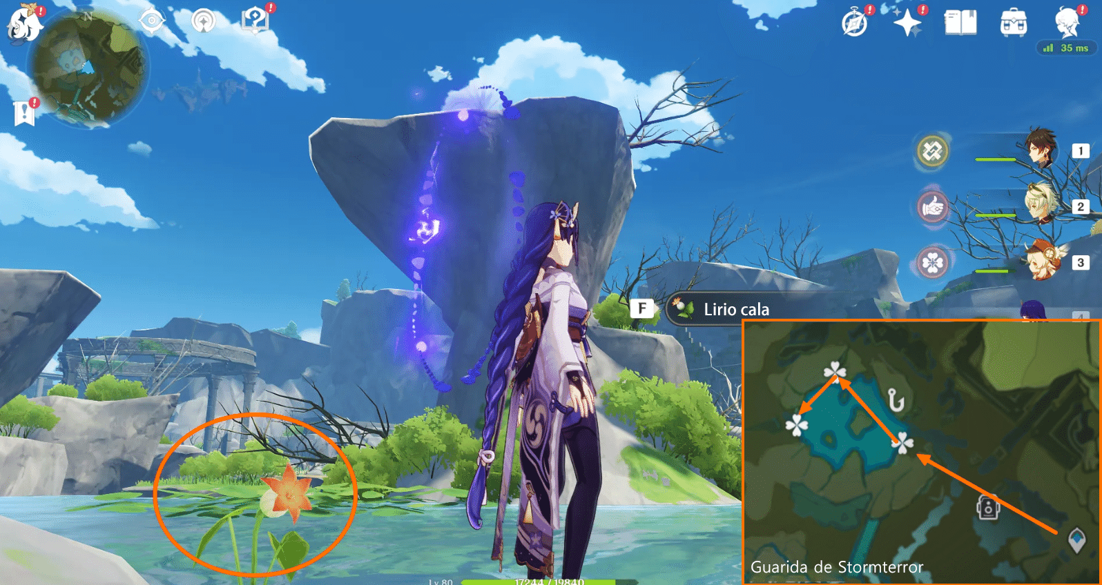Guía de cómo recolectar con rapidez [Lirio cala]×54 Genshin Impact | HoYoLAB