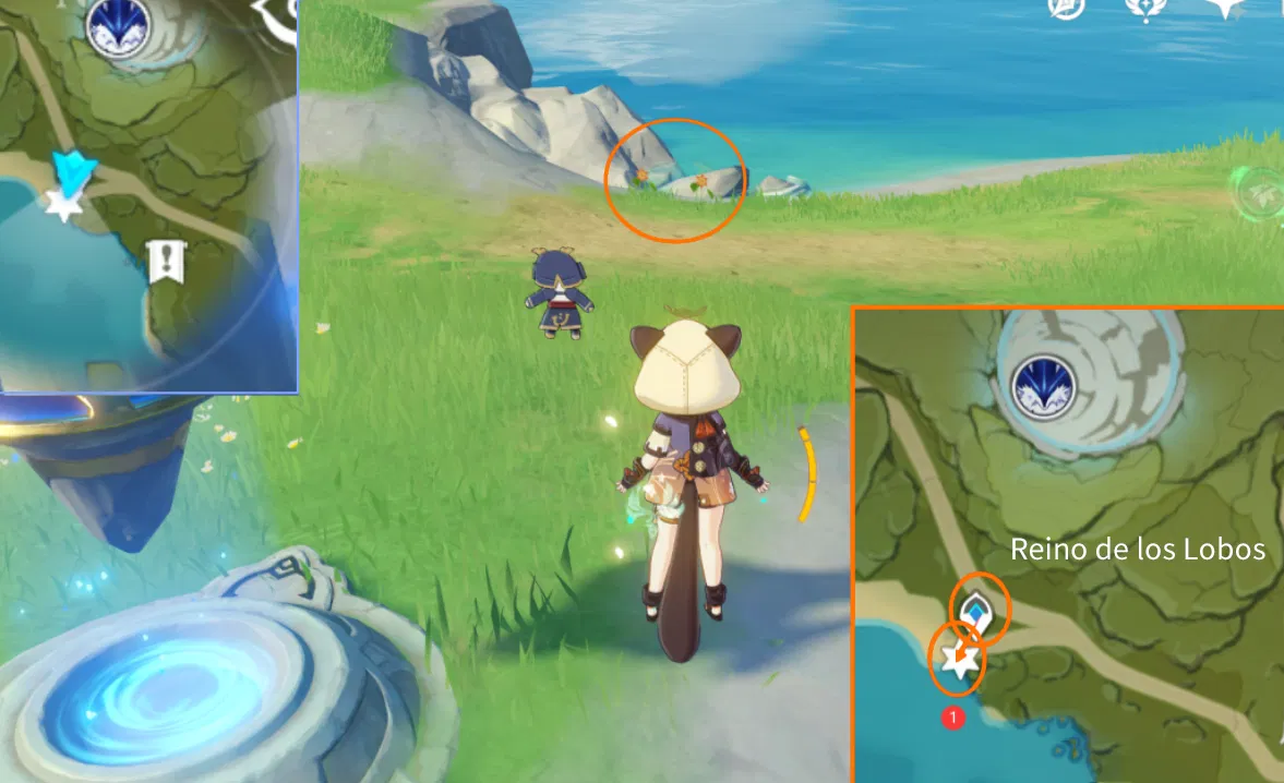 Guía de cómo recolectar con rapidez [Lirio cala]×54 Genshin Impact | HoYoLAB