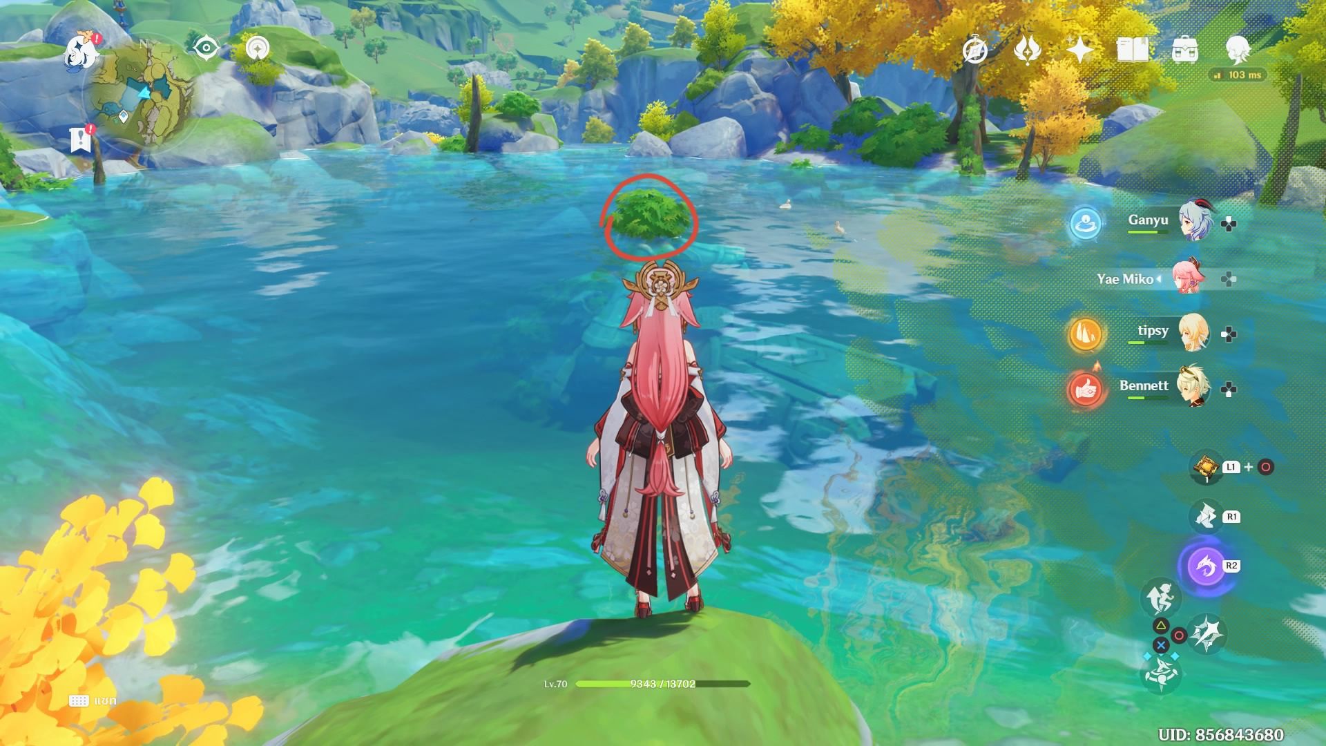 seelie นักซ่อน ซ่อนเก่งไป ใครจะเห็น Genshin Impact | HoYoLAB