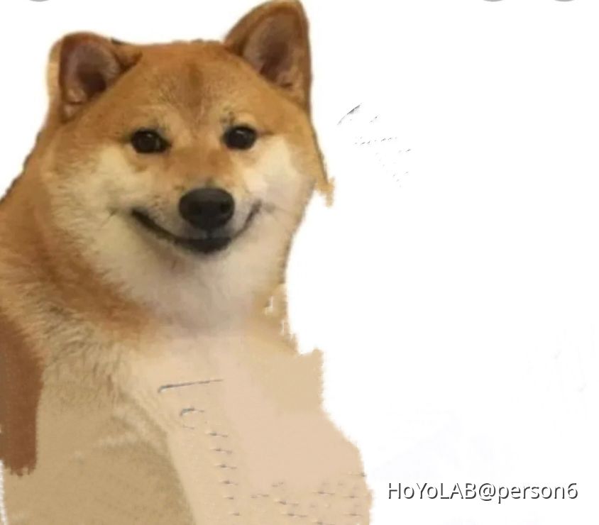 cursed doggo of memes | HoYoLAB