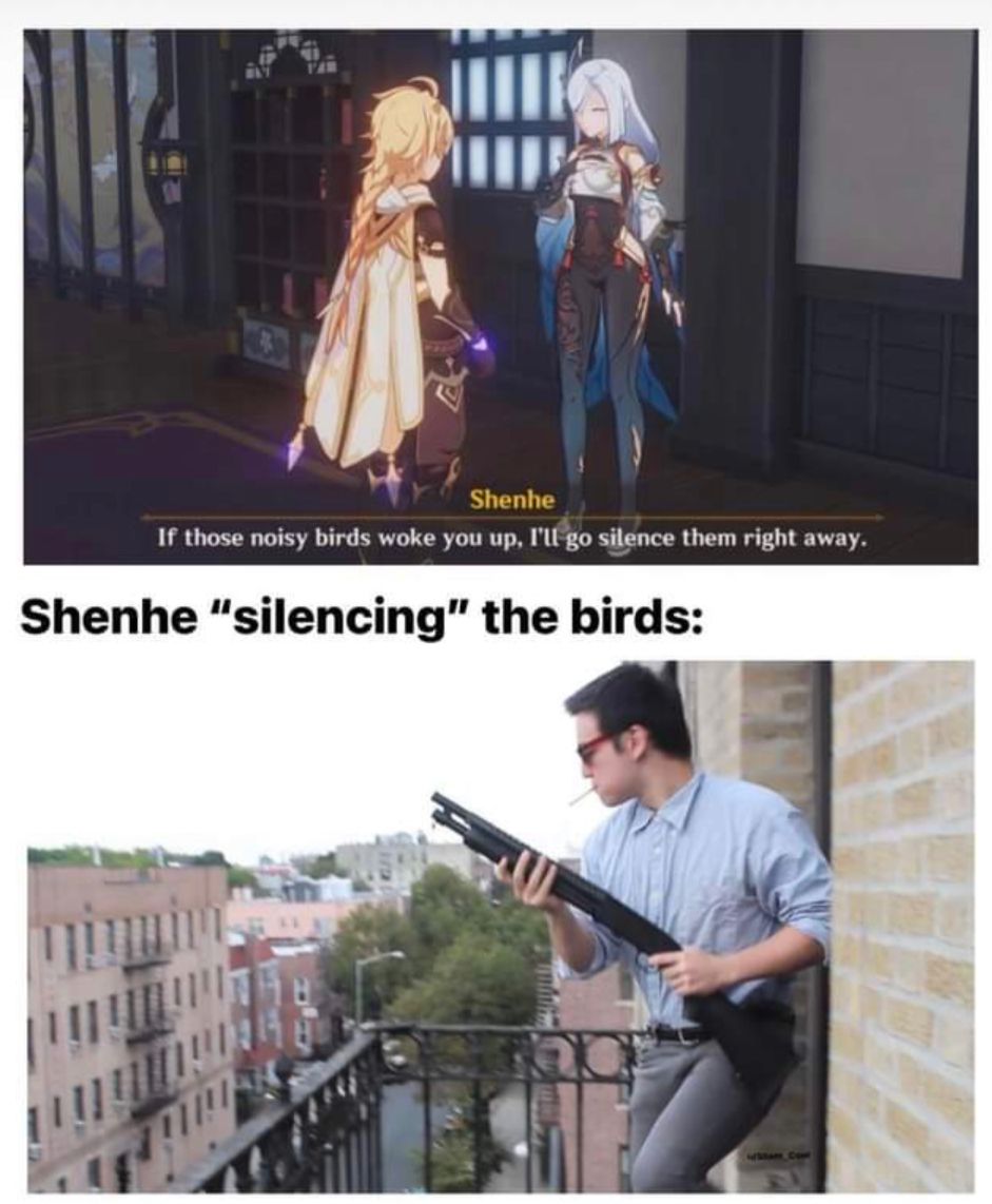 memes to celebrate Shenhe rerun Genshin Impact | HoYoLAB