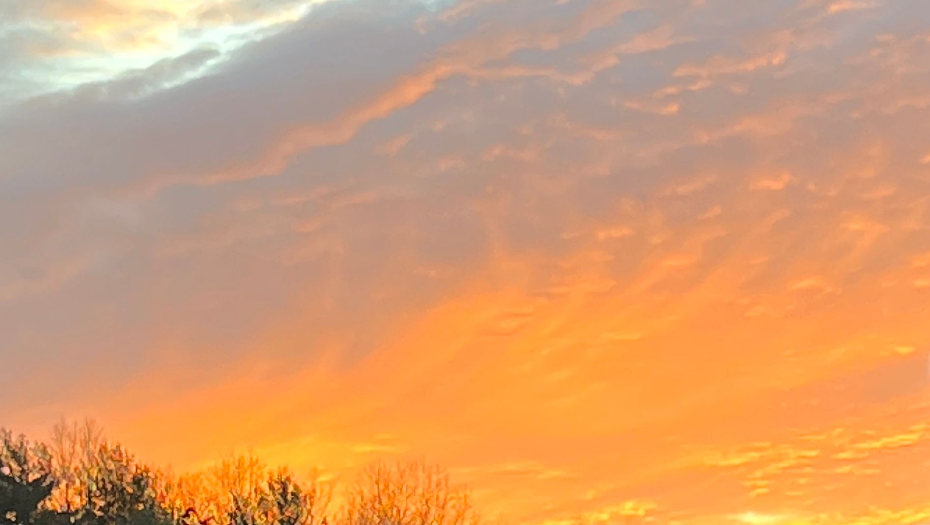 !!vent post!! | HoYoLAB