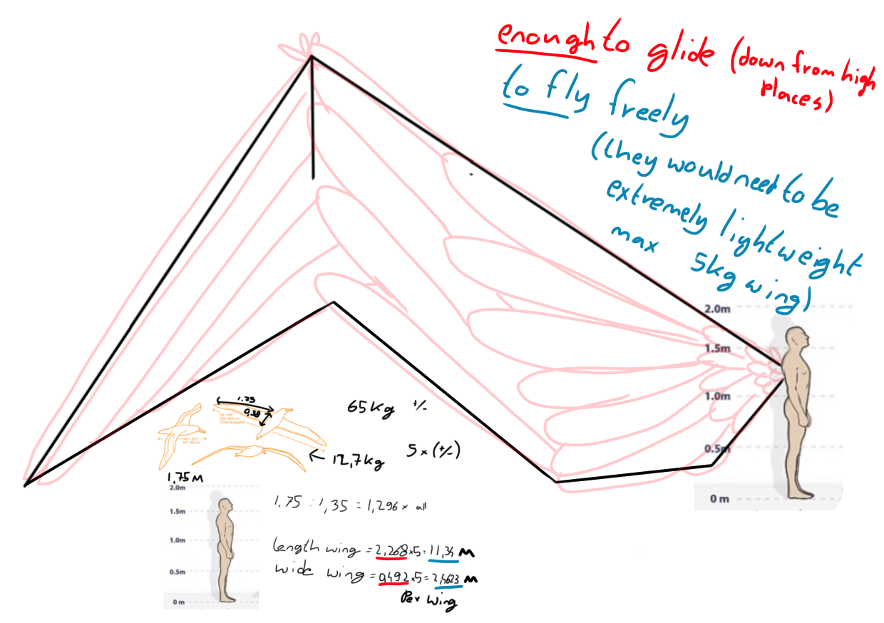 I Got Bored And Calculated Exactly How Big Wings Would Need To Be To