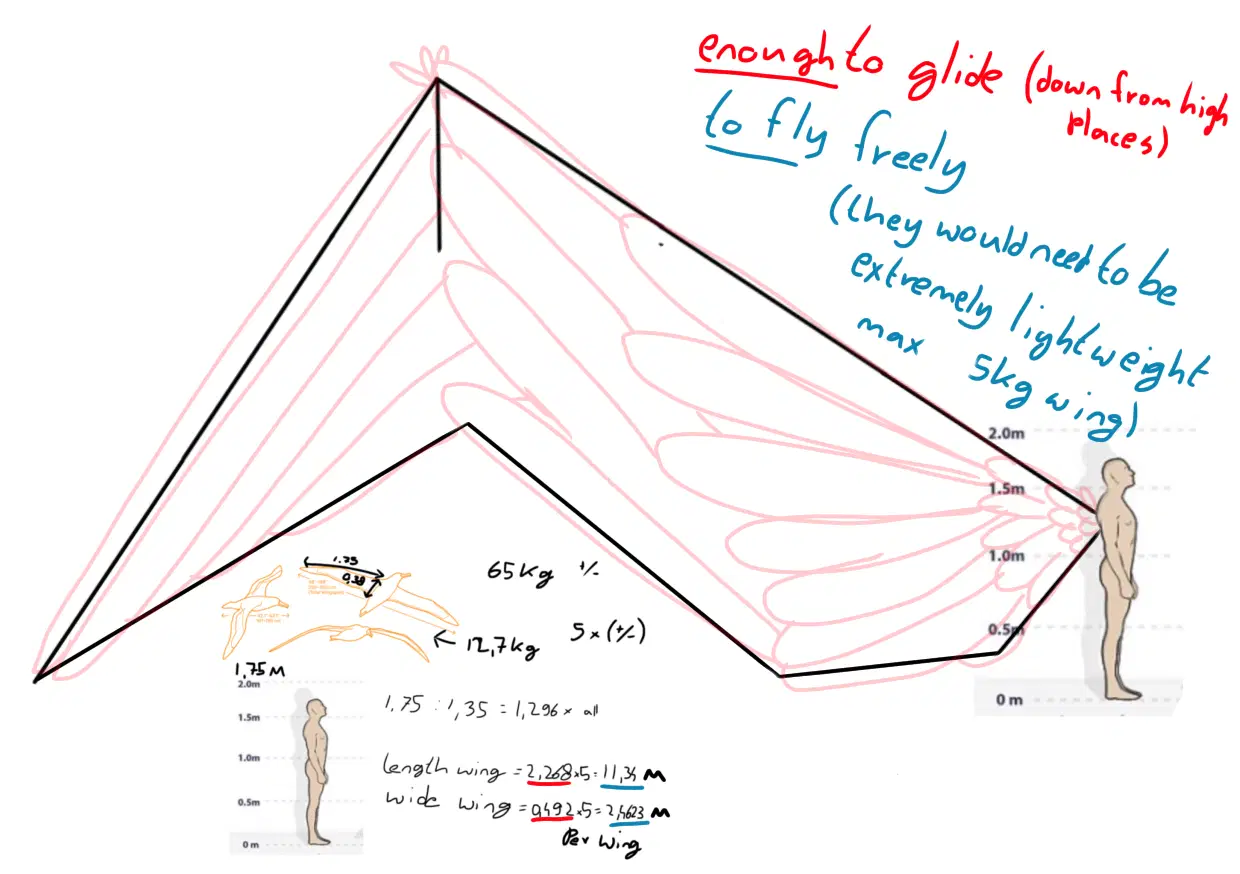 human flying with wings