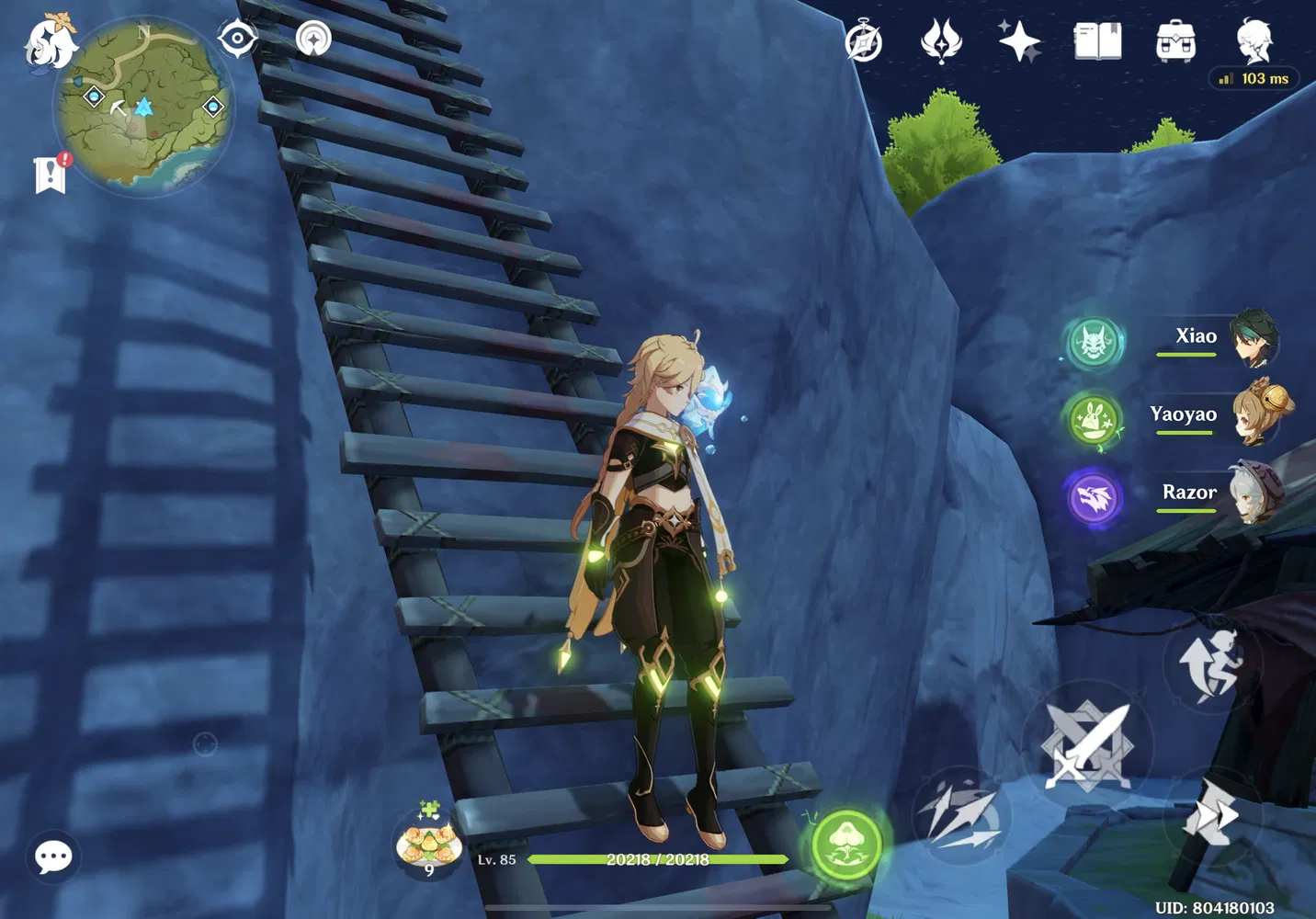 A Ladder where ur charecter’s walk funny! Come to this very location ...